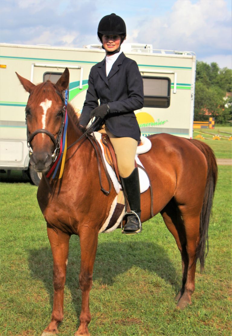 Our Horses Lesson Horses | Lesson Horse | Riding Horse | Spruce Meadow Farm