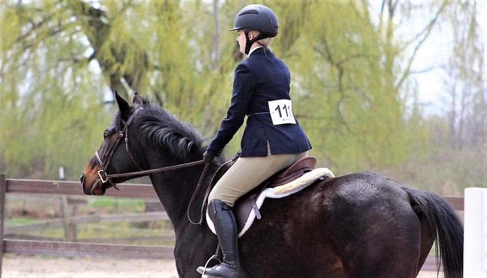 Spruce Meadow Farm | Discover The World Of Horses
