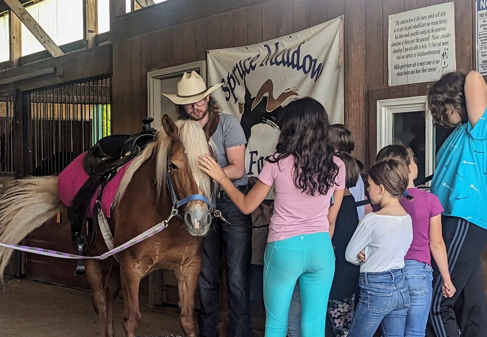 Spruce Meadow Farm | Discover The World Of Horses